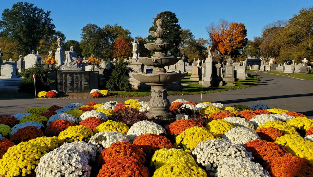 St. Michael's Cemetery - Home - St. Michael's Cemetery
